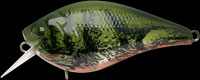 Lucky Craft Lures Color Chart